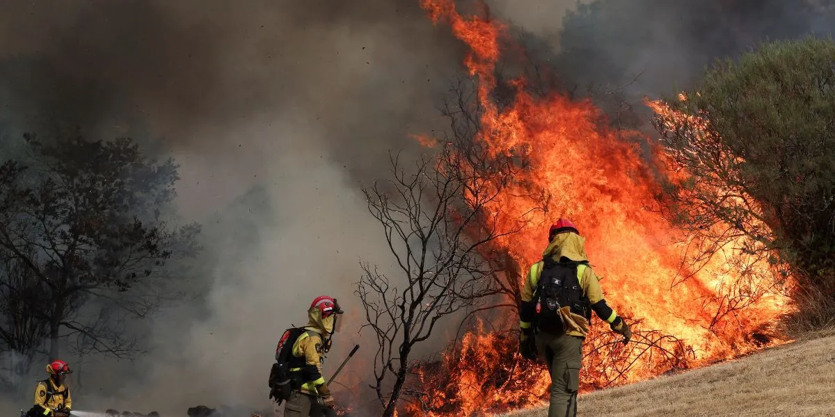 Wildfires Ravage One-Third of Namibia’s Etosha National Park | Human Online