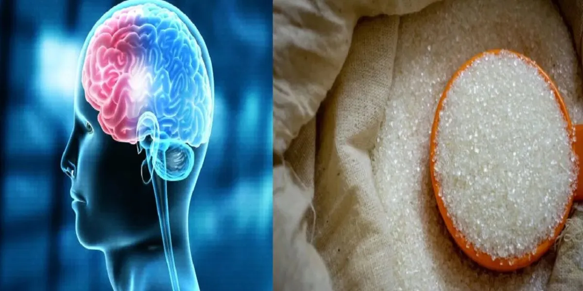 Too Much Sugar Consumption May Secretly Damage Your Brain, Experts Warn ...