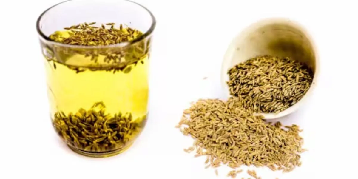 Drink Cumin Water Daily To Improve Health And Metabolism | Human Online
