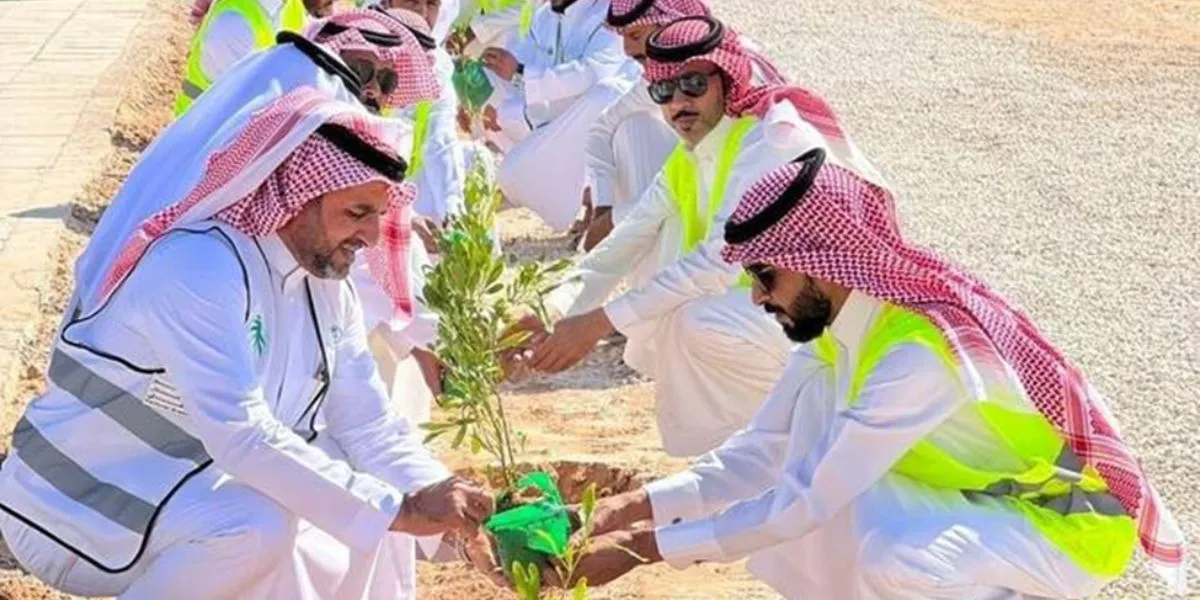 Saudi Arabia Launches Major Tree-Planting Campaign In Northern Borders ...