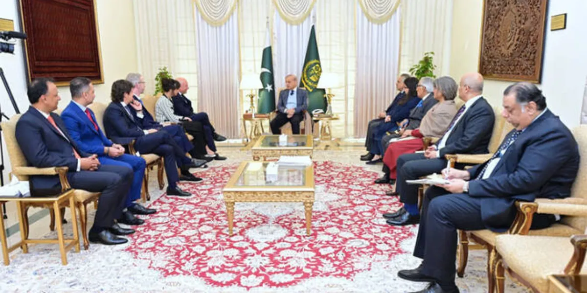 Pakistan PM Shehbaz Meets Ericsson Delegation to Discuss 5G, Digital ...