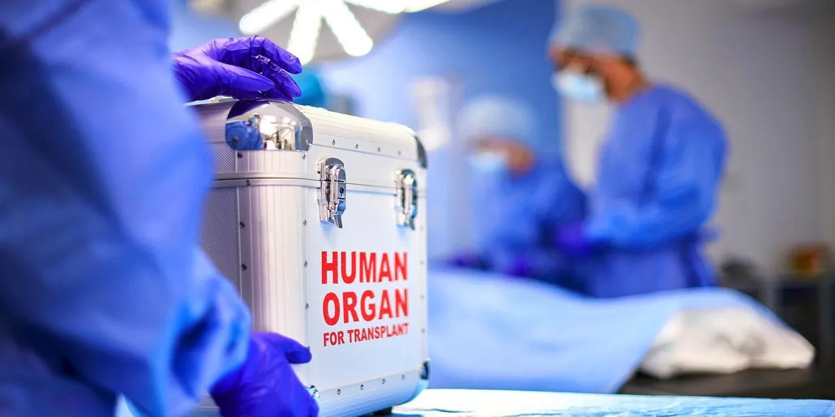 Historic First in Kerala: Human Organ Flown on Commercial Airline for ...