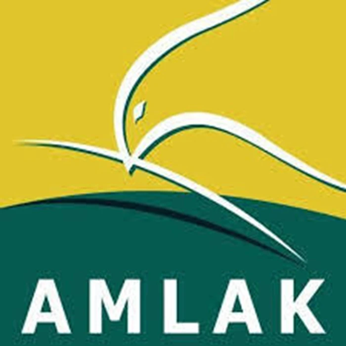 Amlak Finance Announces Financial Results For Q1 2025 | Human Online