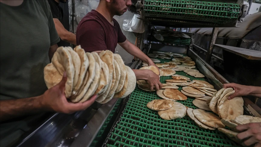 WFP-Supported Bakeries Reopen Amid Wheat and Fuel Shortages | Human Online