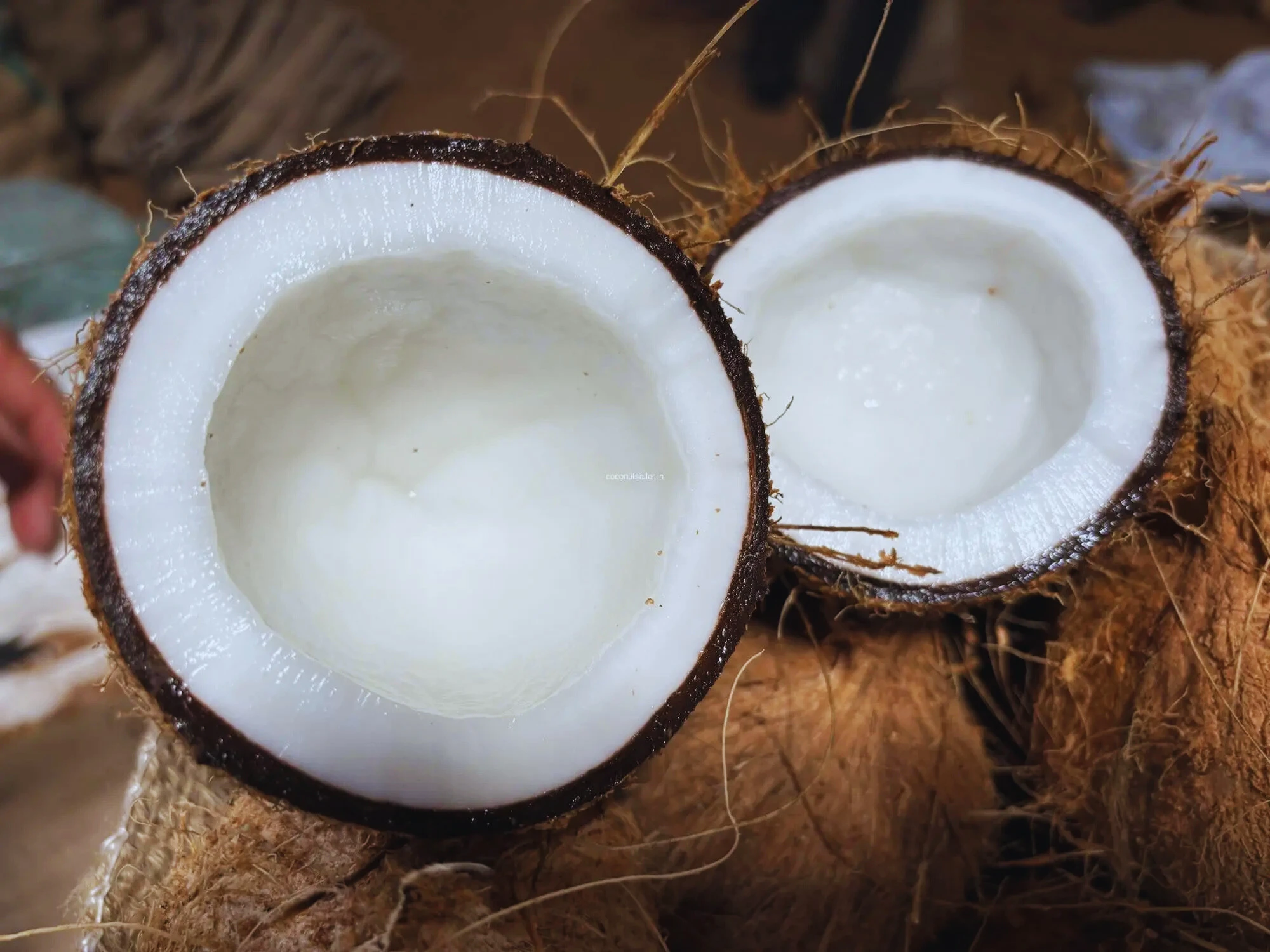Coconut Meat and Blood Sugar: A Diabetic-Friendly Snack Backed by ...