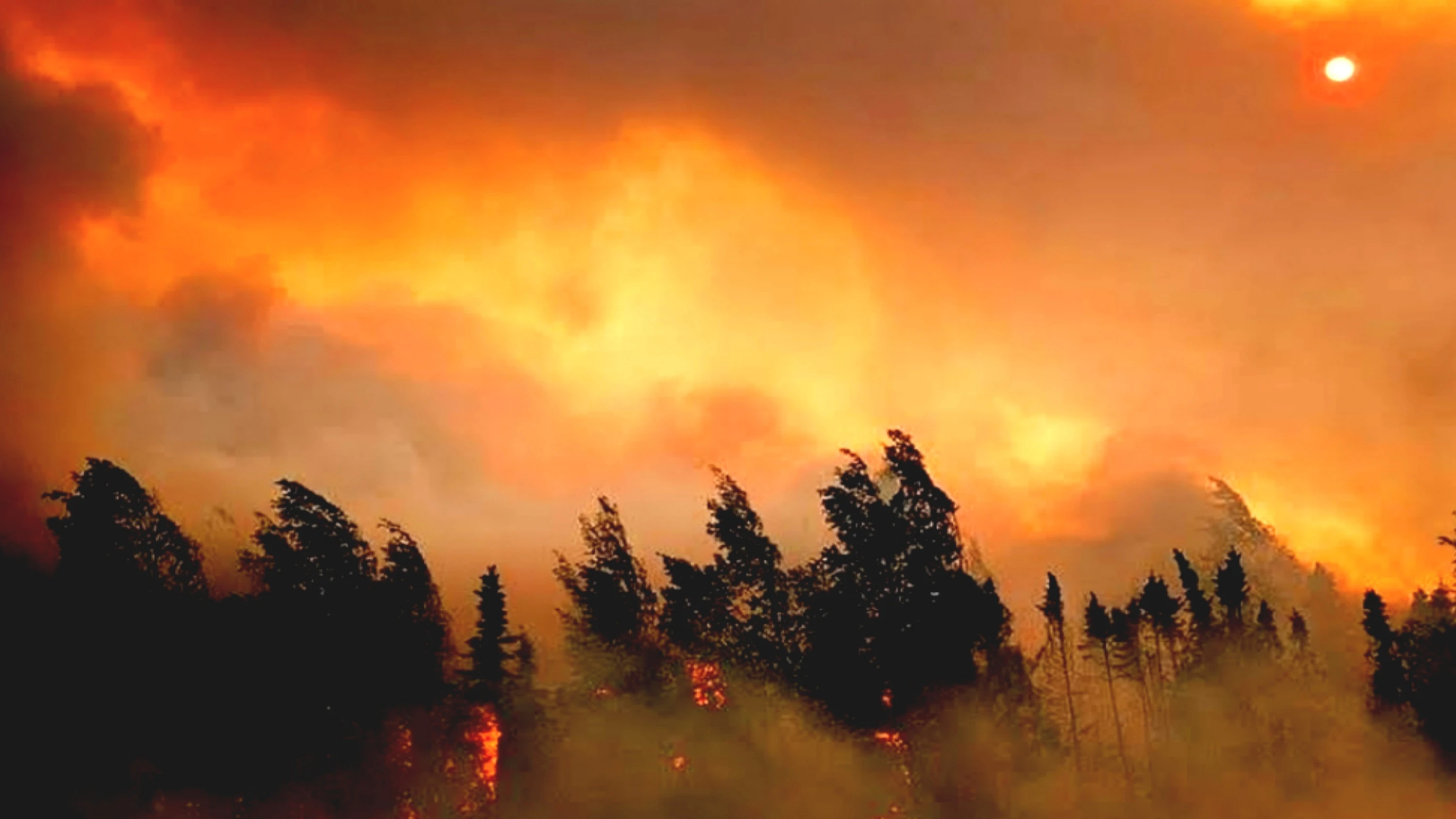 UN Warns of Imminent Climate Threshold Breach as Global Temperatures ...