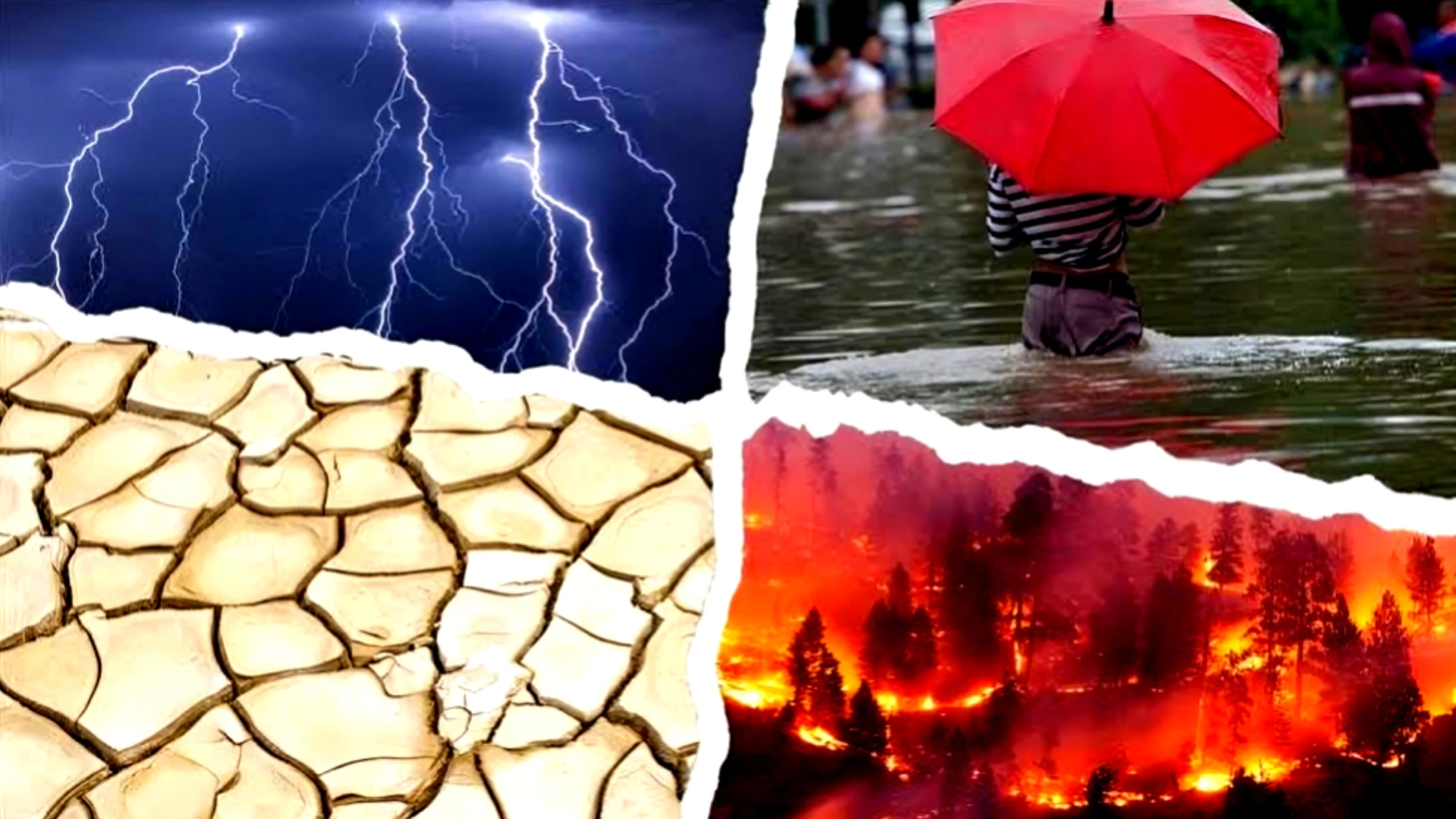 The Escalating Wrath of Climate Change: Wildfires, Floods, and a World ...